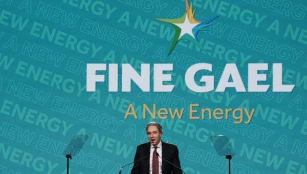 Fine Gael candidate drops out of local elections after planning ...