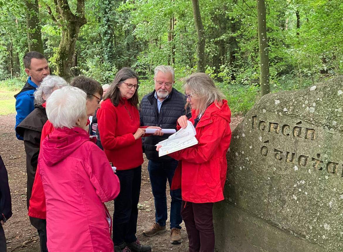 Maganey group organises memorable forest event - News - Kildare Nationalist