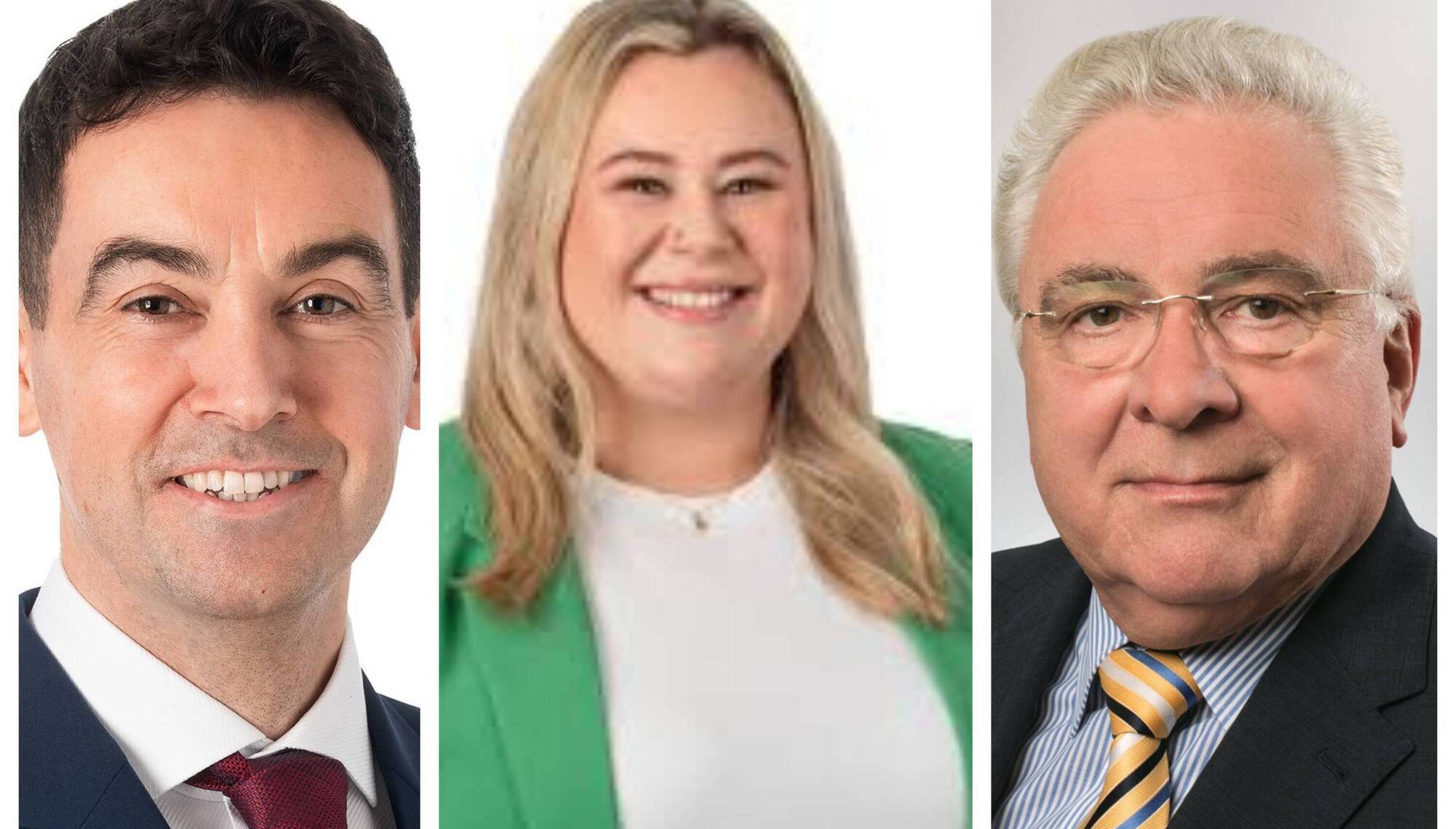 Fine Gael select three candidates for Kildare North - News - Kildare ...