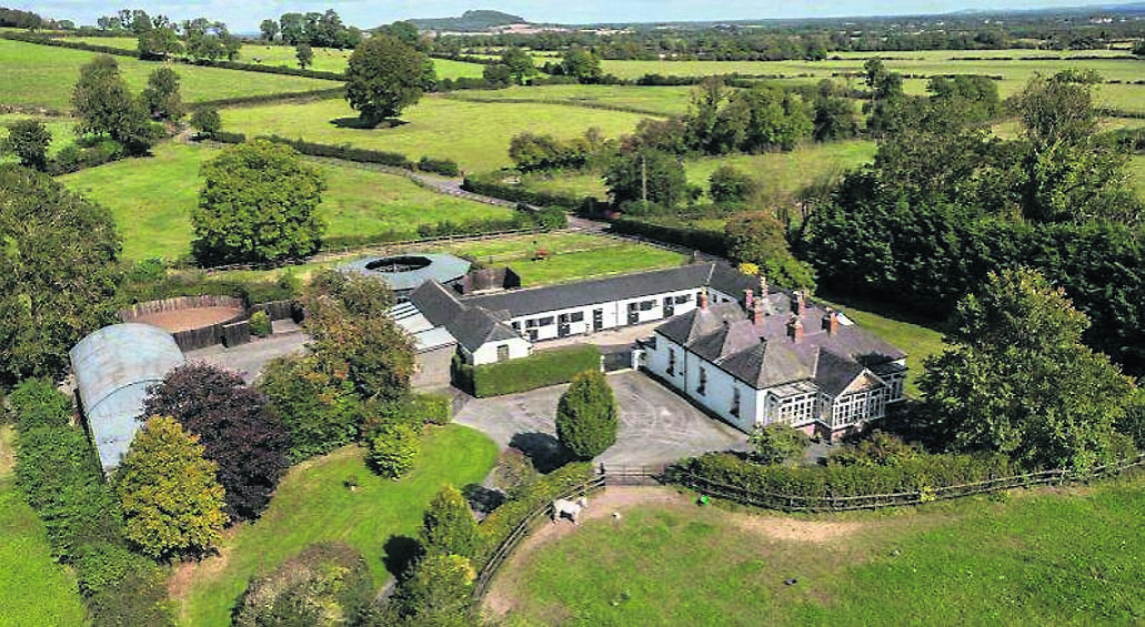 Kildare stud farm heading for auction with €1.5m guide price - Life ...