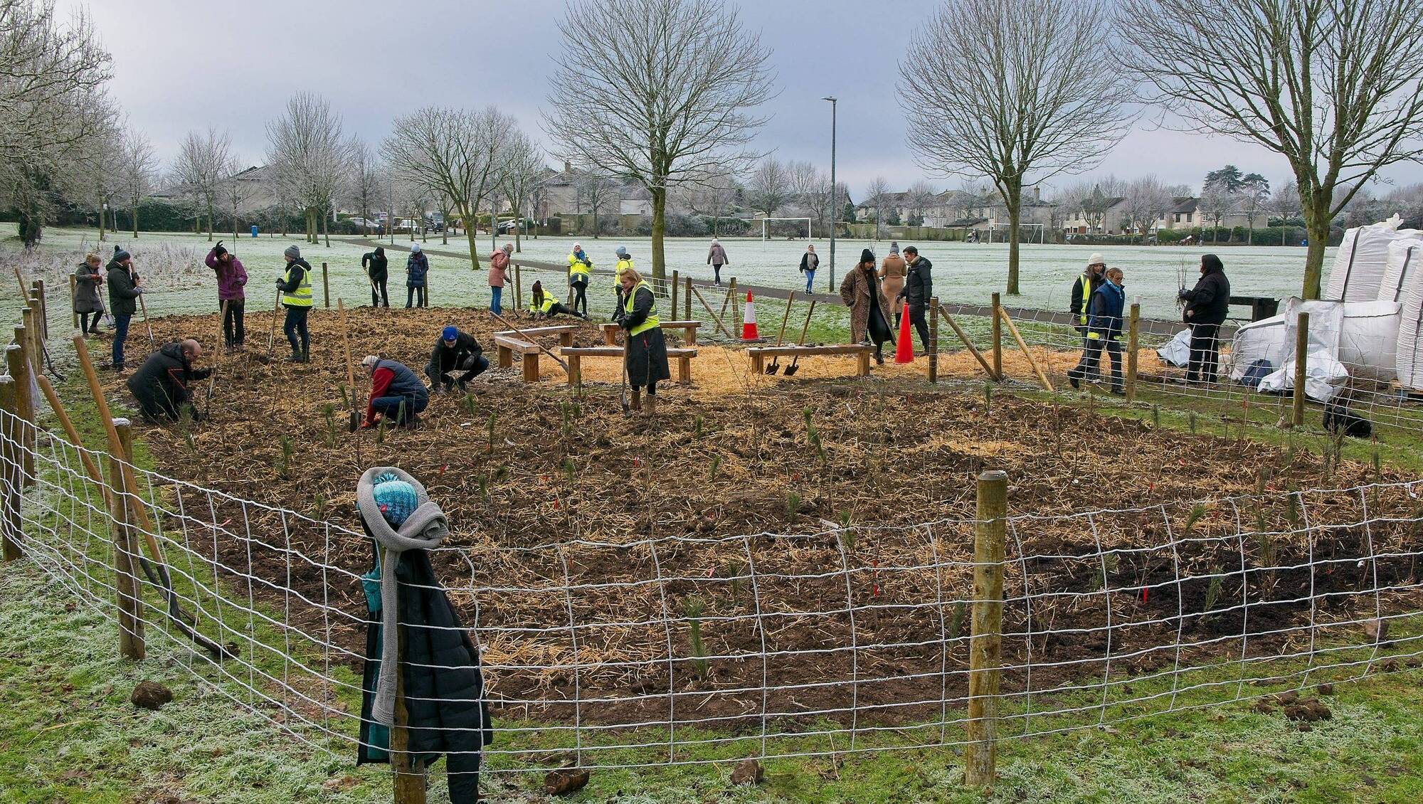 New 'Tiny Forest' planted in Naas - Community - Kildare Nationalist