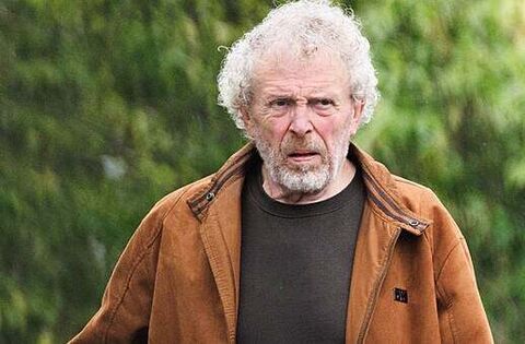 Clare man (75) accused of trying to smuggle woman (22) into State ...