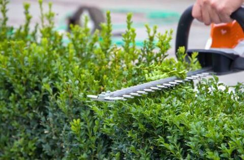 Kildare landowner fined €15k for hedgerow destruction out of season ...