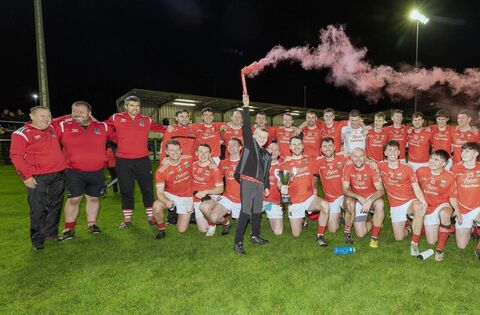 Athy complete double over Naas - News - Kildare Nationalist