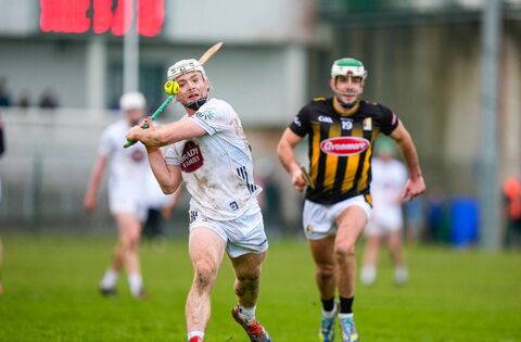 Kildare put in impressive showing against the Cats - News - Kildare ...