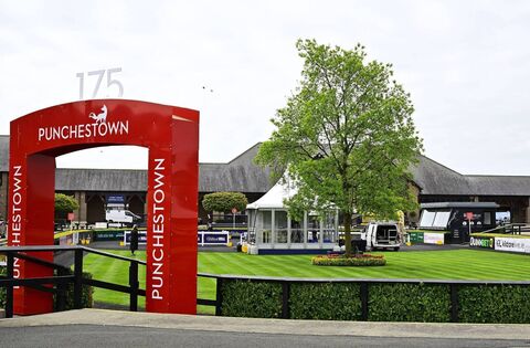 Punchestown Festival Day 1 preview - News - Kildare Nationalist
